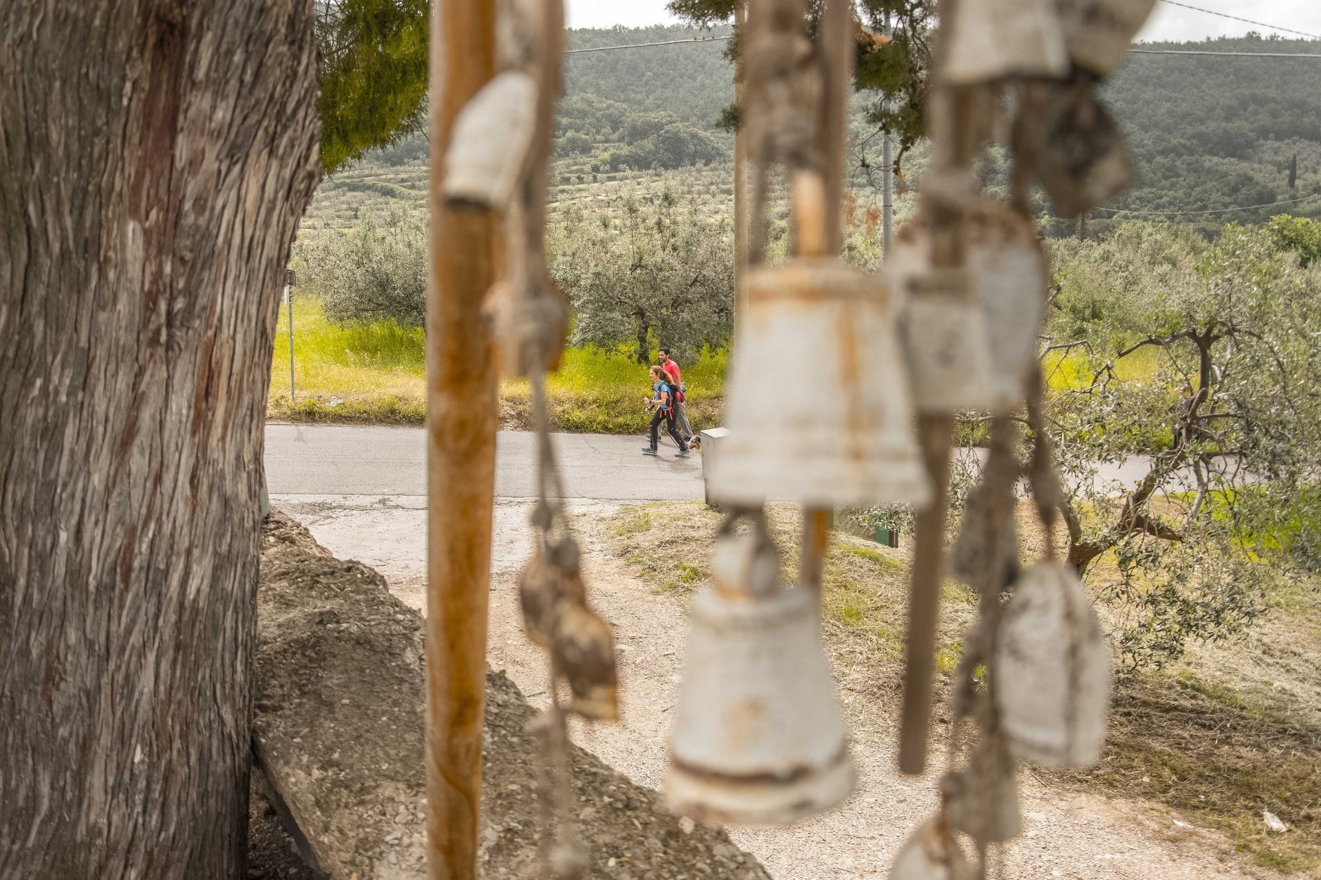 La Via Clanis In Valdichiana
