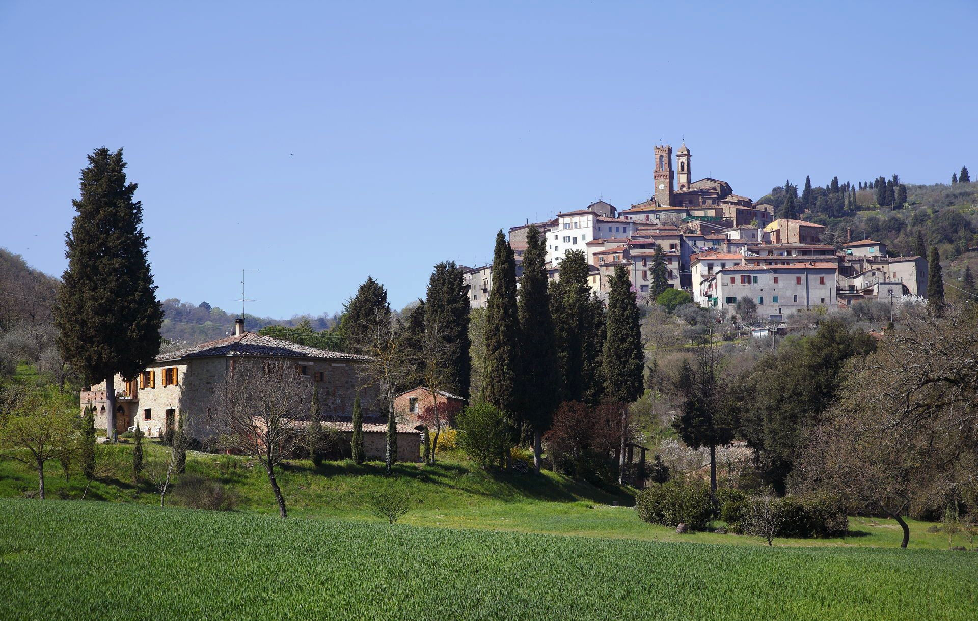 Ring Trail Sinalunga and Scrofiano